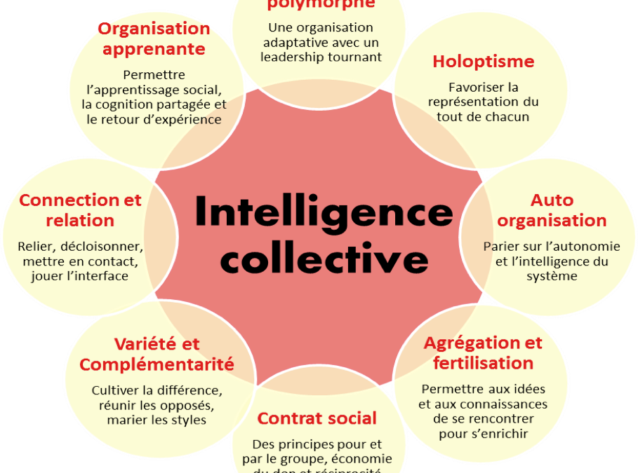 L'intelligence collective en image - Diana Rondeau - Infographie